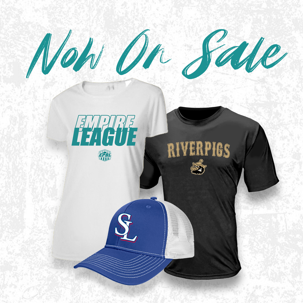 Welcome to the Empire Baseball League – An Independent Professional ...