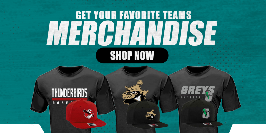 Empire Baseball League – A Professional Baseball D-League for MLB ...