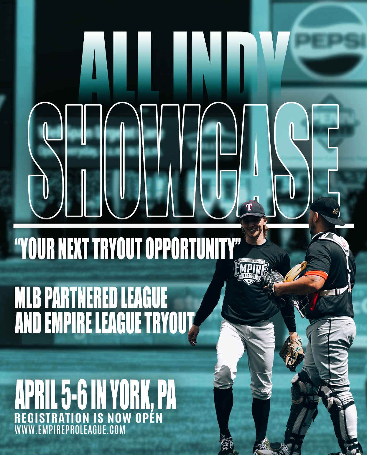 Empire Baseball League – A Professional Baseball D-League for MLB ...
