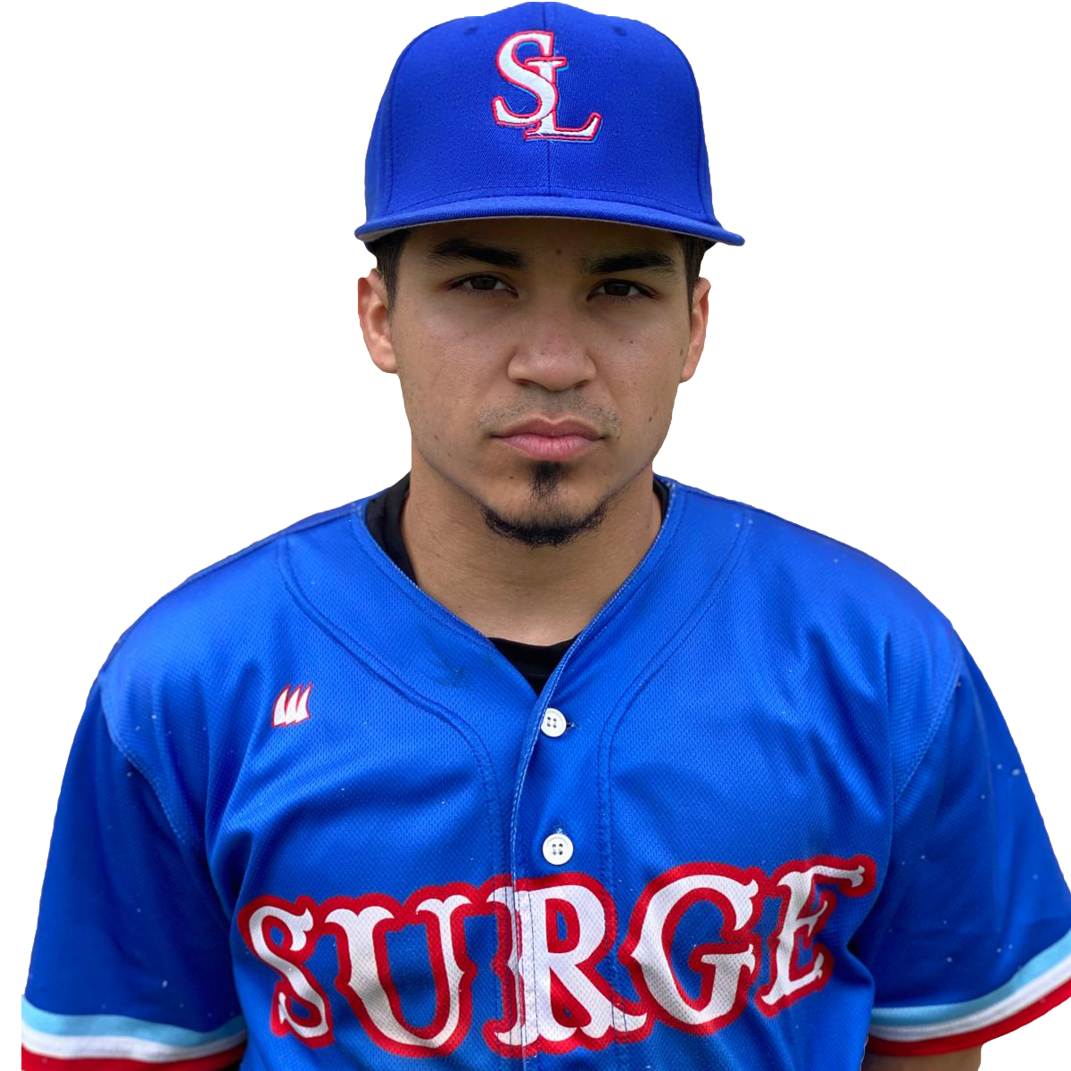 Empire Baseball League – A Professional Baseball Developmental League ...